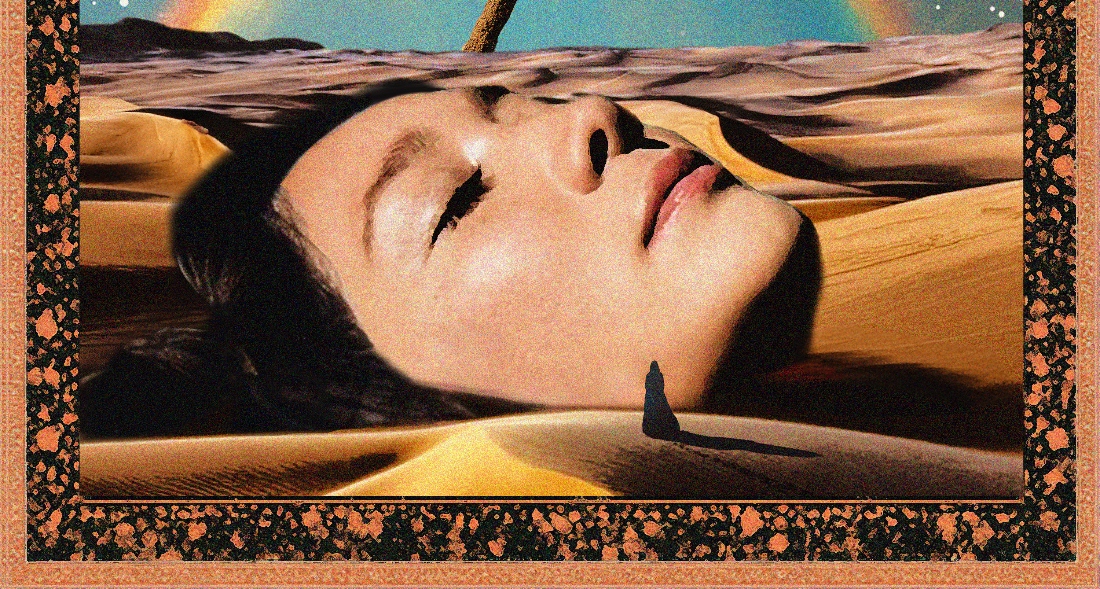 Tara Beier’s Mourning Doves of Joshua Tree: A Luminous Elegy to Loss ...